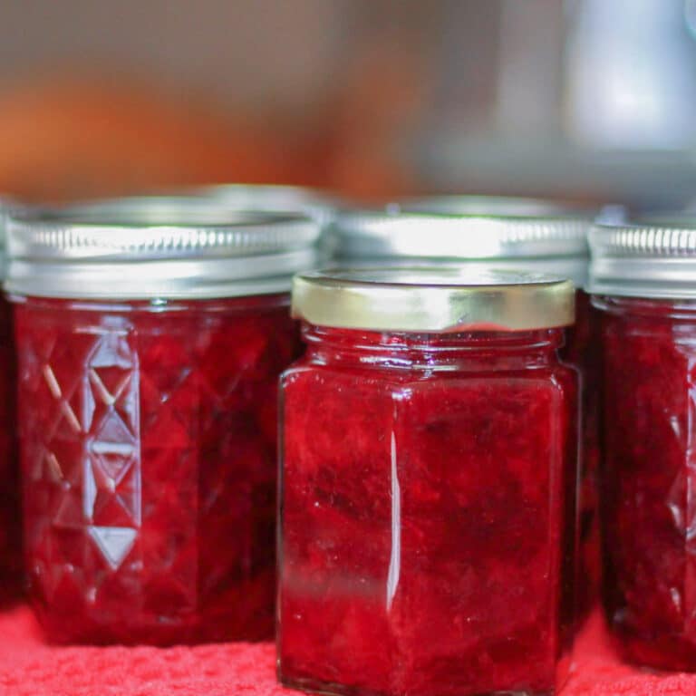 Jam and Preserves Recipes Recipes Using Fresh Fruit | Hilda's Kitchen Blog