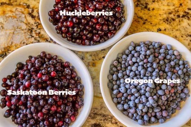 Montana Mountain Berry Jam (Mixed Wild Berries) | Hilda's Kitchen Blog