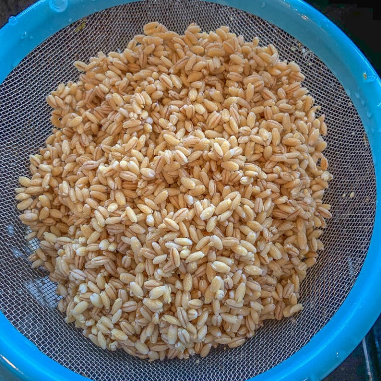 hareesa chicken lamb beef barley Assyrian recipes Iraqi food