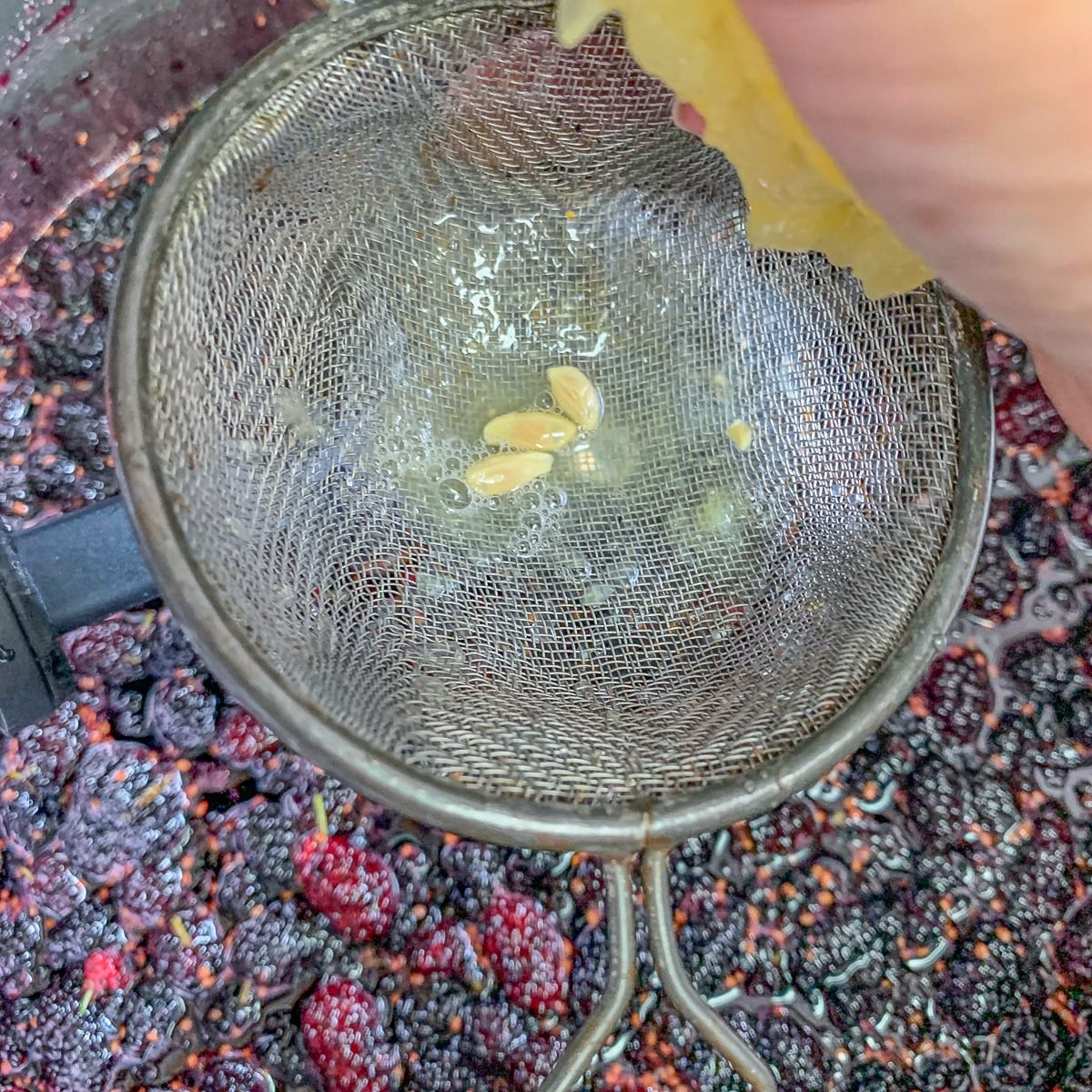 Mulberry Jam Recipe | Hilda's Kitchen Blog