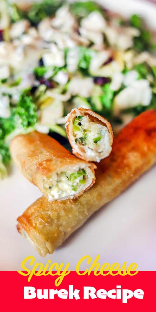 Cheese Burek (Börek) | Hilda's Kitchen Blog