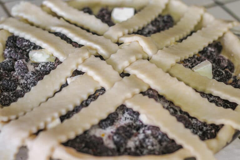 Easy Mulberry Pie Recipe (fresh or frozen mulberries) | Hilda's Kitchen ...