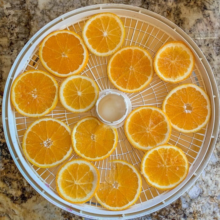 Dehydrated Oranges (dehydrator and oven directions) | Hilda's Kitchen Blog