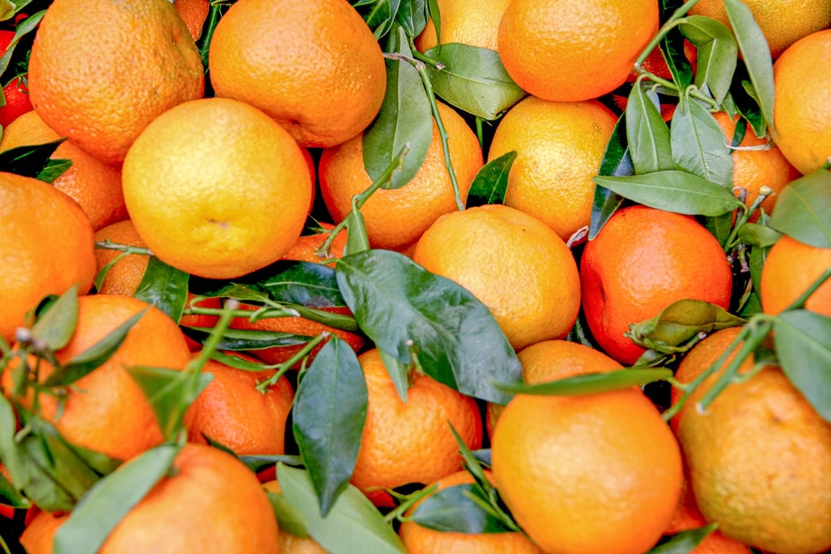 Dehydrated Oranges (dehydrator and oven directions) | Hilda's Kitchen Blog