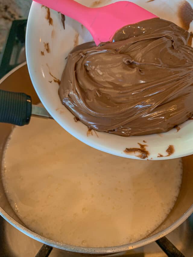 Easy 4-step Nutella Ice Cream | Hilda's Kitchen Blog