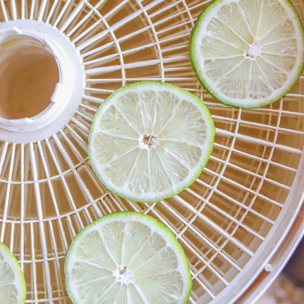 Using Black Limes to Make Noomi Basra Chai | Hilda's Kitchen Blog