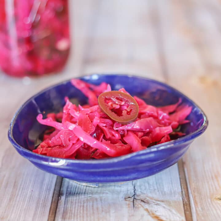 Quick Pickled Red Cabbage | Hilda's Kitchen Blog