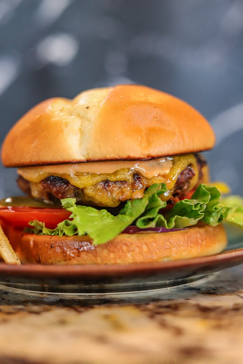Juicy Gourmet Elk Burger Recipe (Grilled) | Hilda's Kitchen Blog