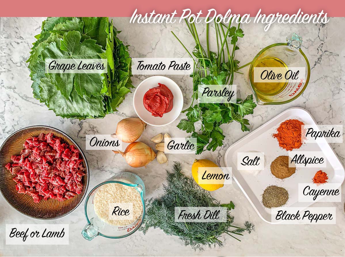 Instant Pot Grape Leaf Dolma Recipe | Hilda's Kitchen Blog