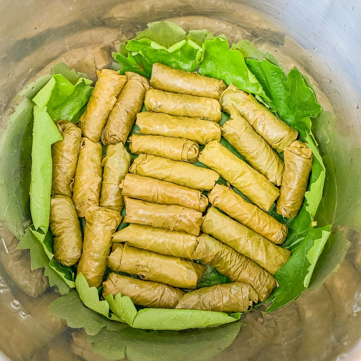 Instant Pot Grape Leaf Dolma Recipe | Hilda's Kitchen Blog