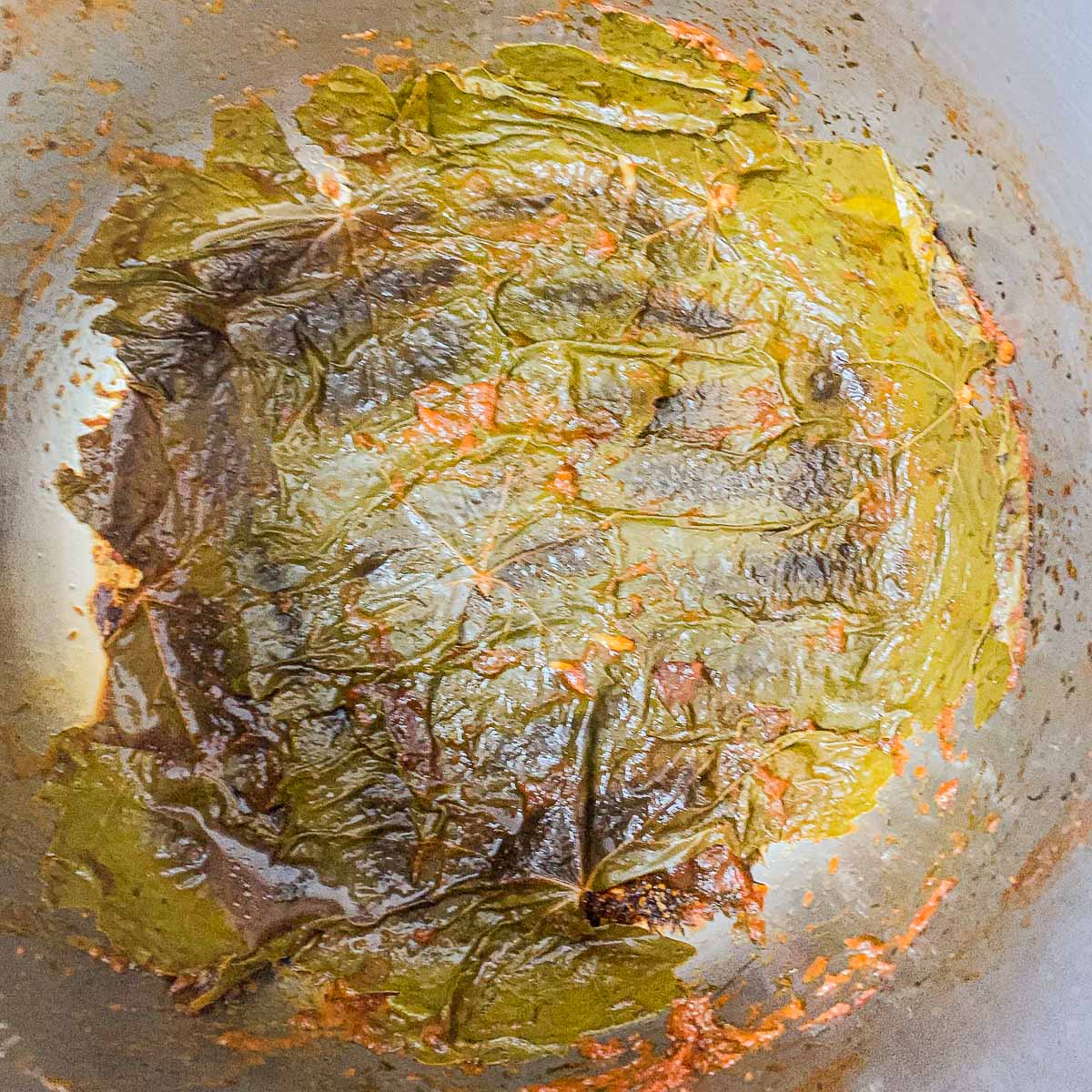 Instant Pot Grape Leaf Dolma Recipe | Hilda's Kitchen Blog