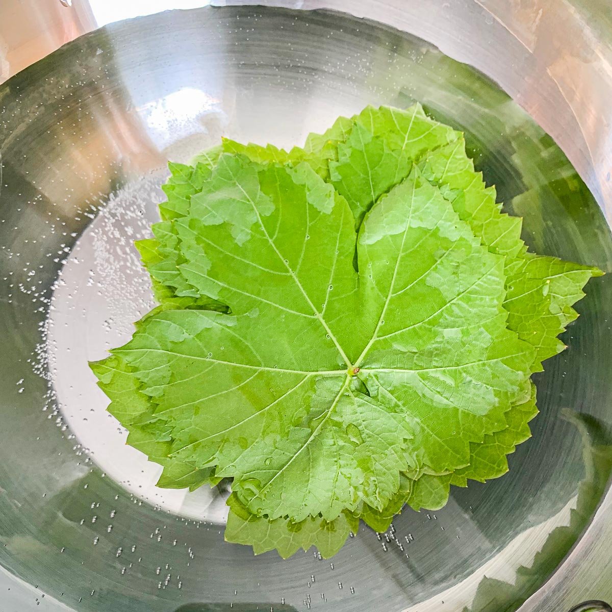 Instant Pot Grape Leaf Dolma Recipe | Hilda's Kitchen Blog