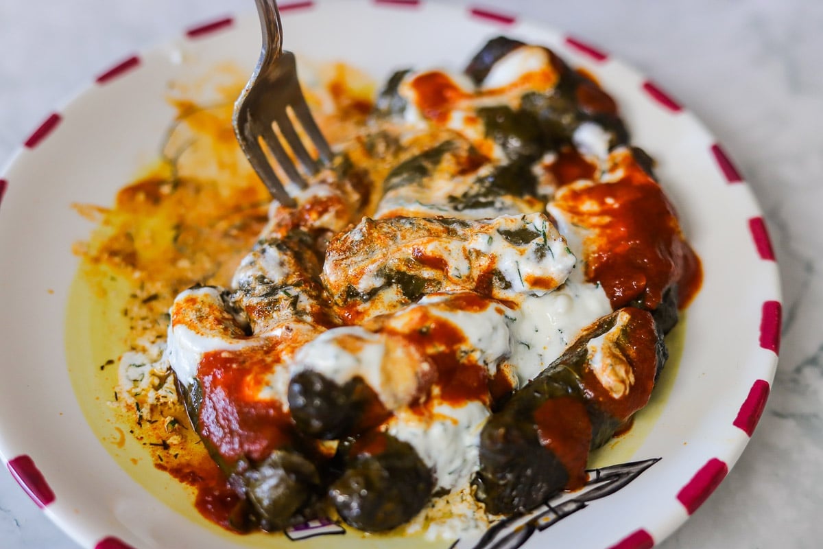 Instant Pot Grape Leaf Dolma Recipe | Hilda's Kitchen Blog