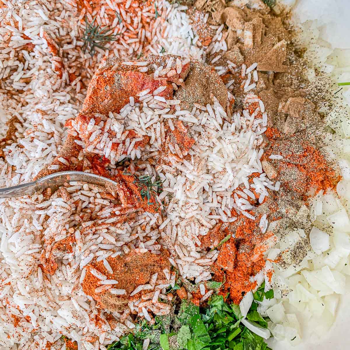 Instant Pot Grape Leaf Dolma Recipe | Hilda's Kitchen Blog