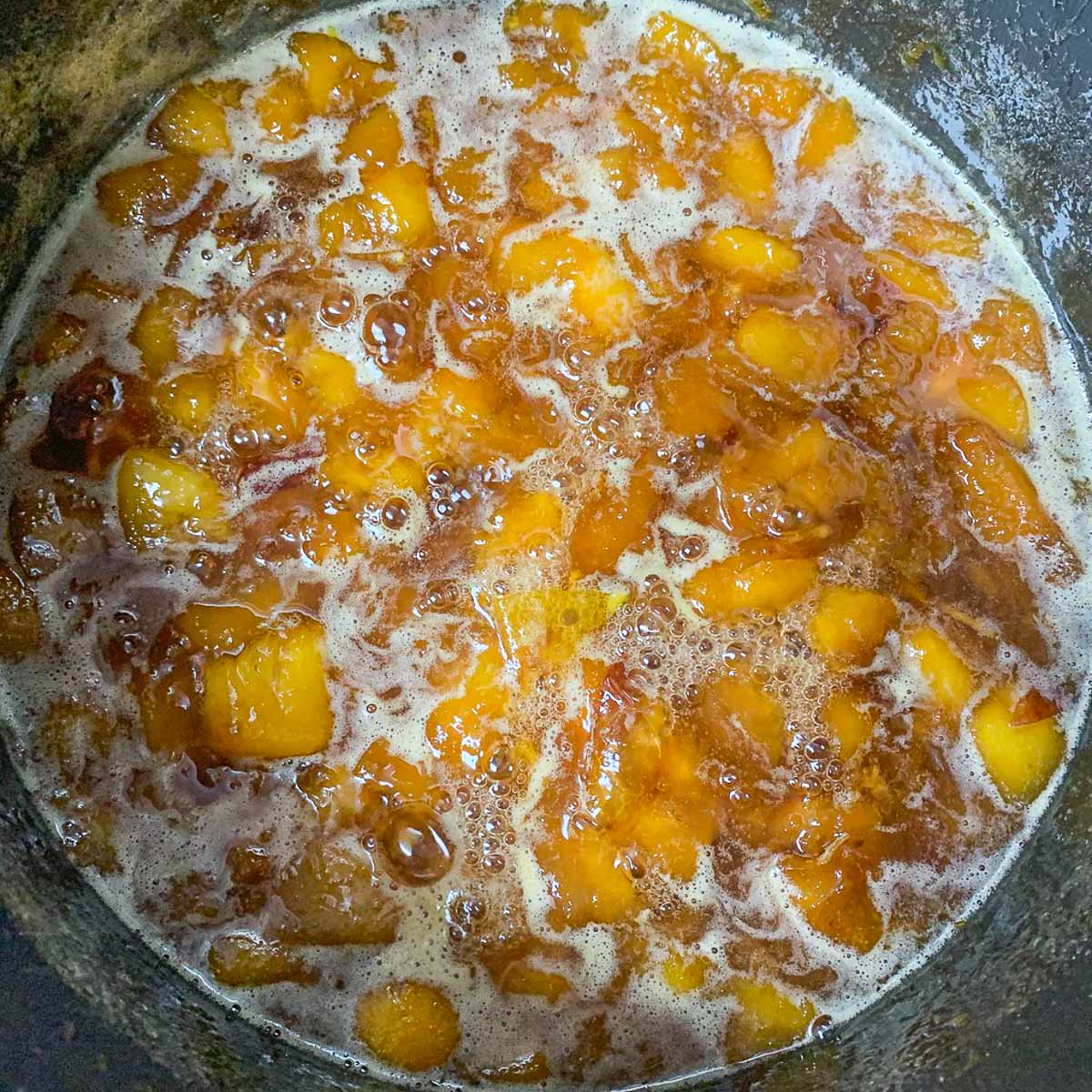 Easy Peach Preserves & Jam Without Pectin | Hilda's Kitchen Blog