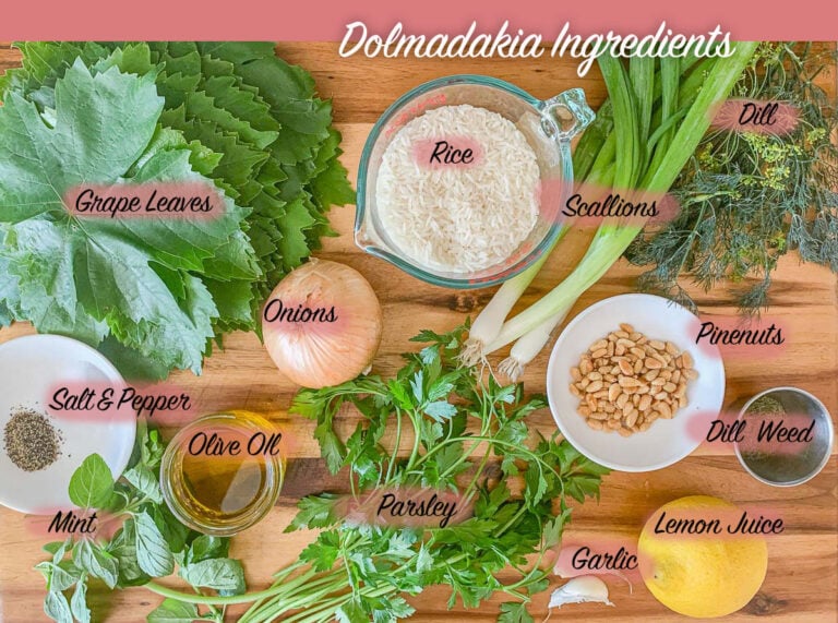 Dolmadakia (Dolmades) Stuffed Grape leaves| Hilda's Kitchen Blog