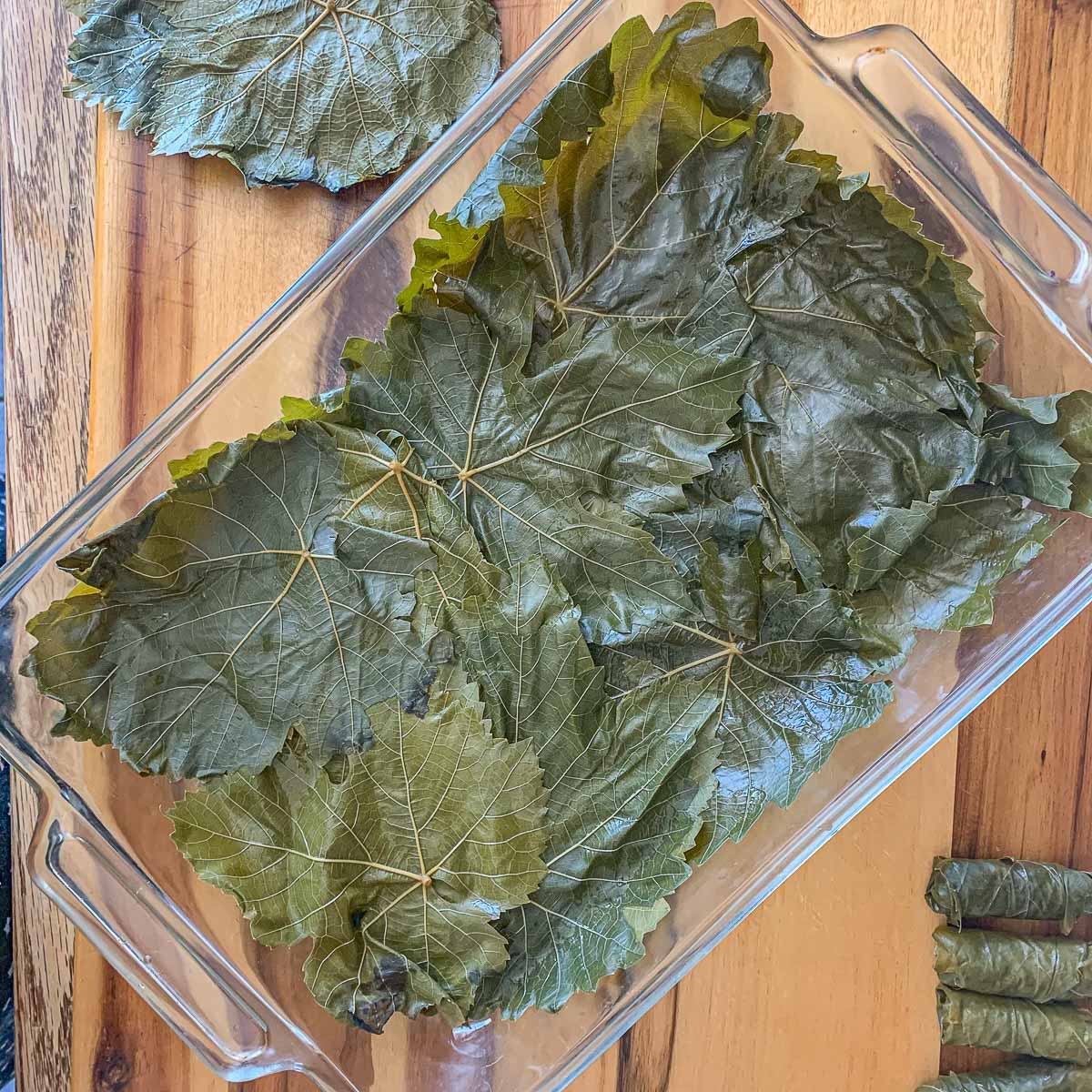 Dolmadakia (Dolmades) Stuffed Grape leaves| Hilda's Kitchen Blog