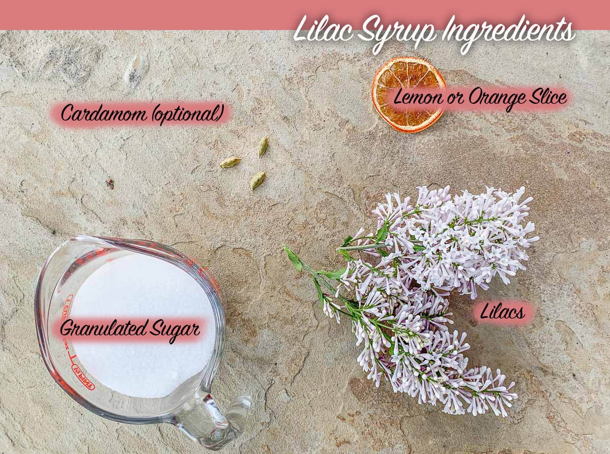 How to Make Delicious Lilac Syrup | Hilda's Kitchen Blog