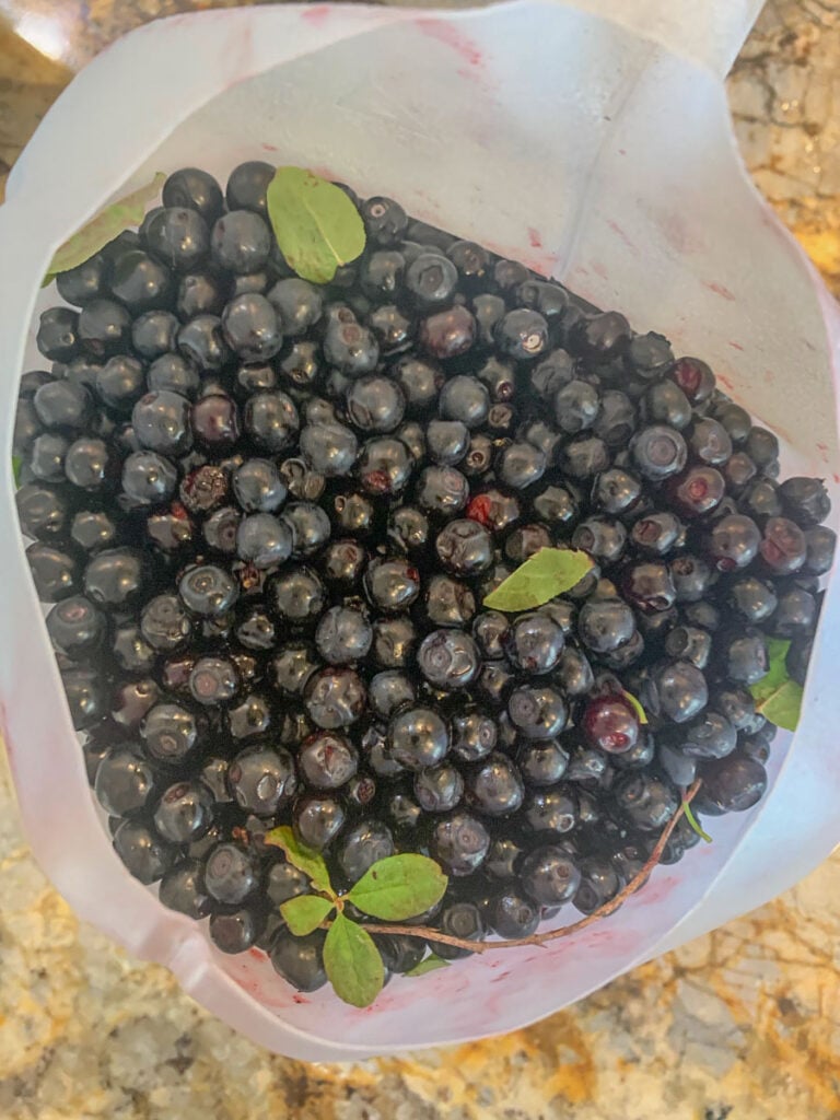 Wild Huckleberry Jam Recipe | Hilda's Kitchen Blog