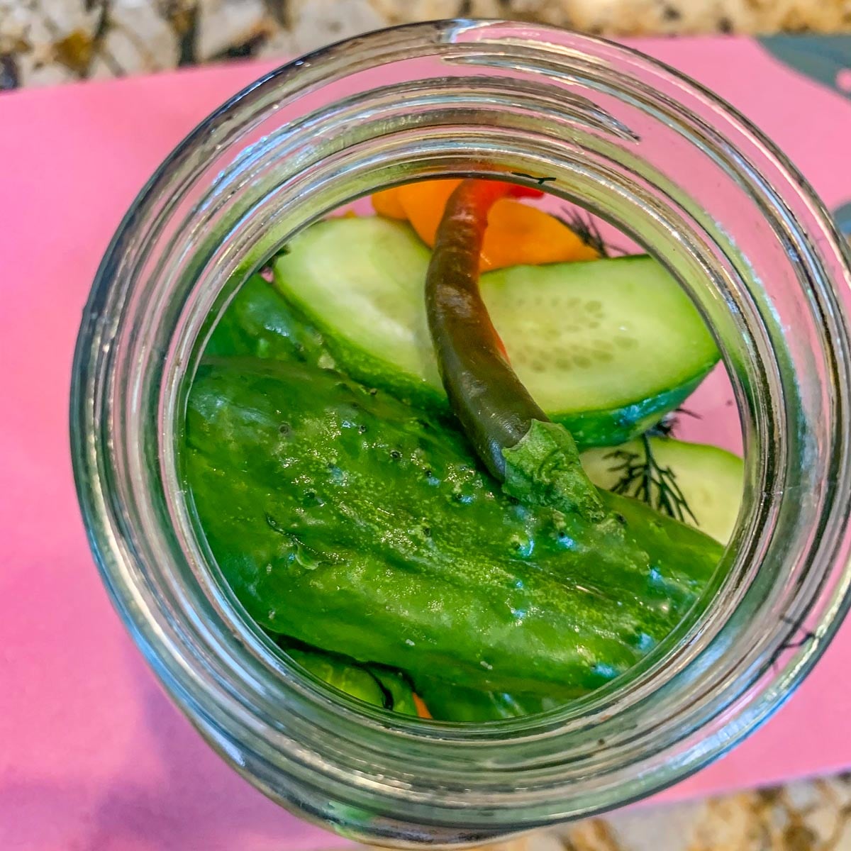 Zesty Refrigerator Dill Pickles | Hilda's Kitchen Blog