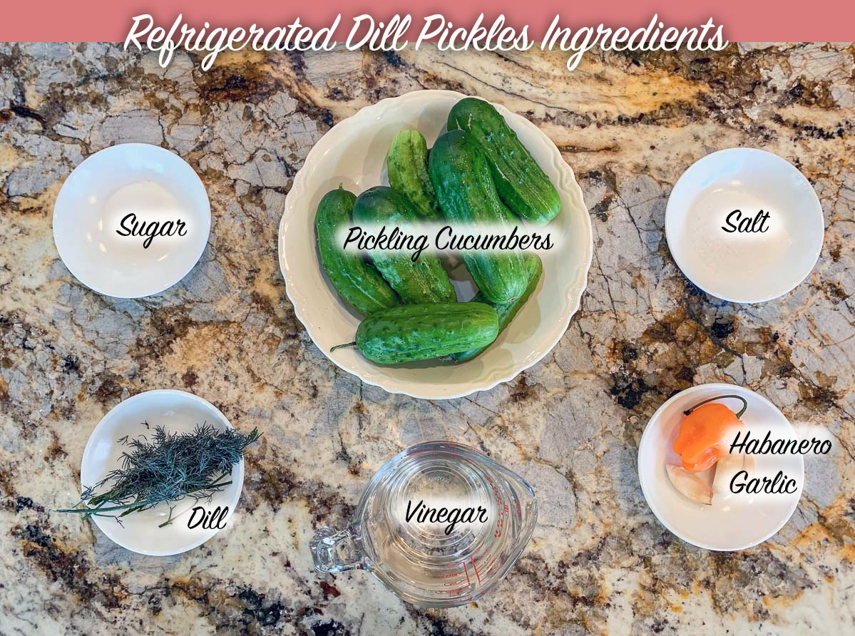 Zesty Refrigerator Dill Pickles | Hilda's Kitchen Blog