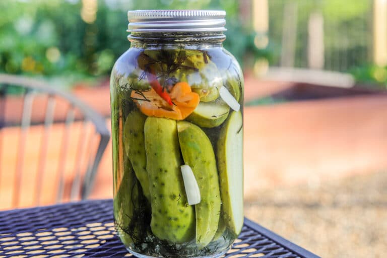 Zesty Refrigerator Dill Pickles | Hilda's Kitchen Blog