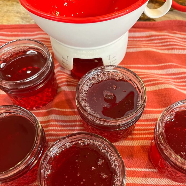 Lilac Jelly Recipe | Hilda's Kitchen Blog
