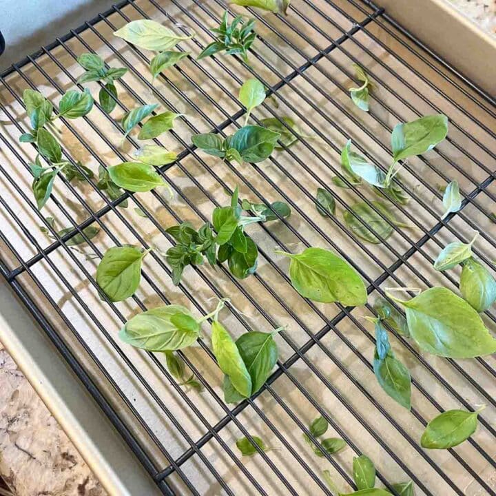 How To Dry Basil Leaves | Hilda's Kitchen Blog
