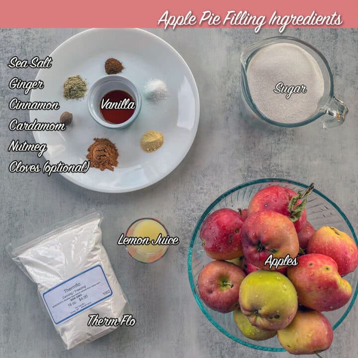 Canning Apple Pie Filling | Hilda's Kitchen Blog