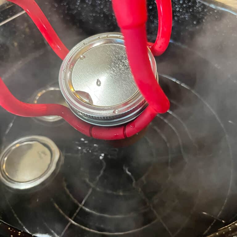 How To Make and Can Salsa | Hilda's Kitchen Blog