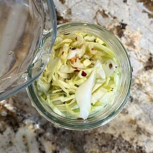 Fermented Cabbage (Sauerkraut) | Hilda's Kitchen Blog