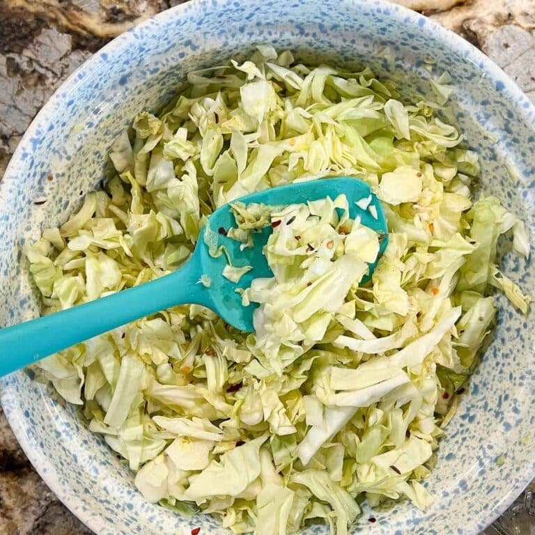 Fermented Cabbage (Sauerkraut) | Hilda's Kitchen Blog