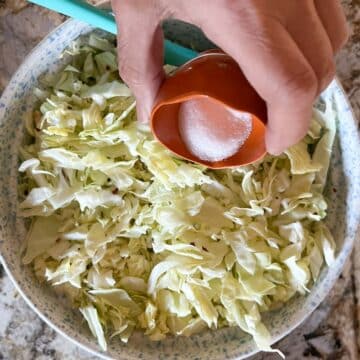 Fermented Cabbage (Sauerkraut) | Hilda's Kitchen Blog