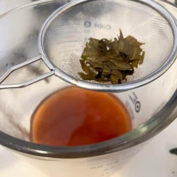 Loquat Tea Recipe | Hilda's Kitchen Blog