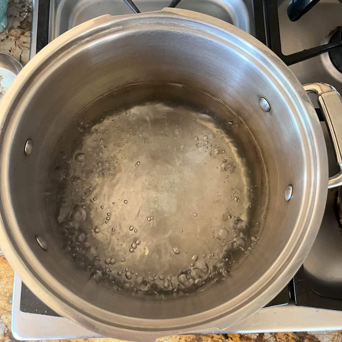 Authentic Chicago Style Hot Dogs | Hilda's Kitchen Blog