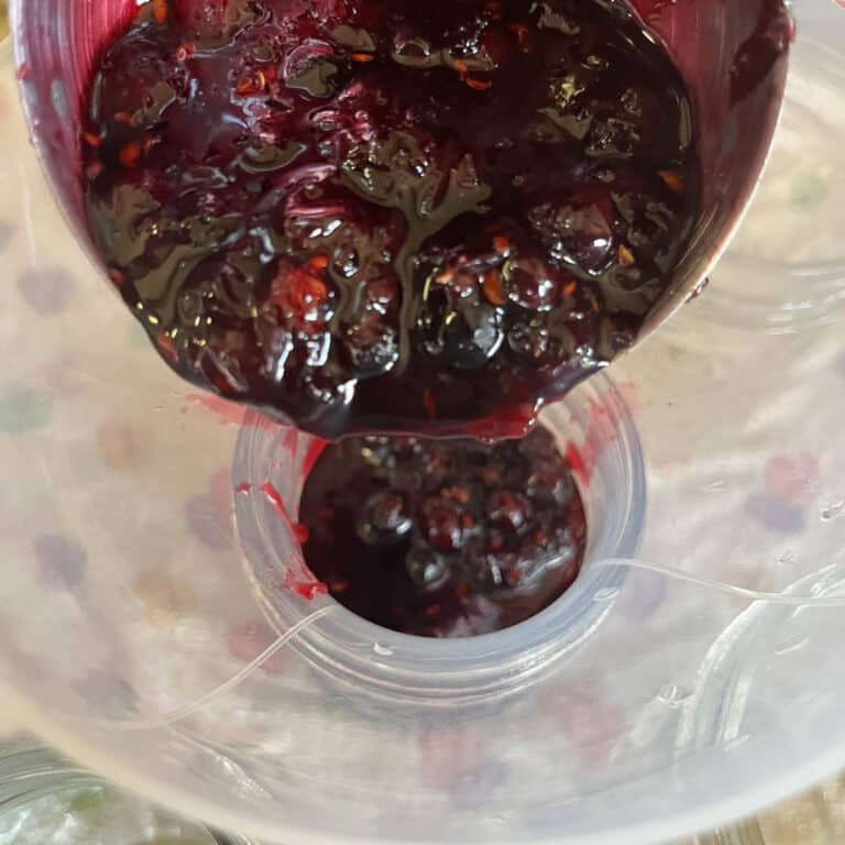 Saskatoon Berry Jam | Hilda's Kitchen Blog
