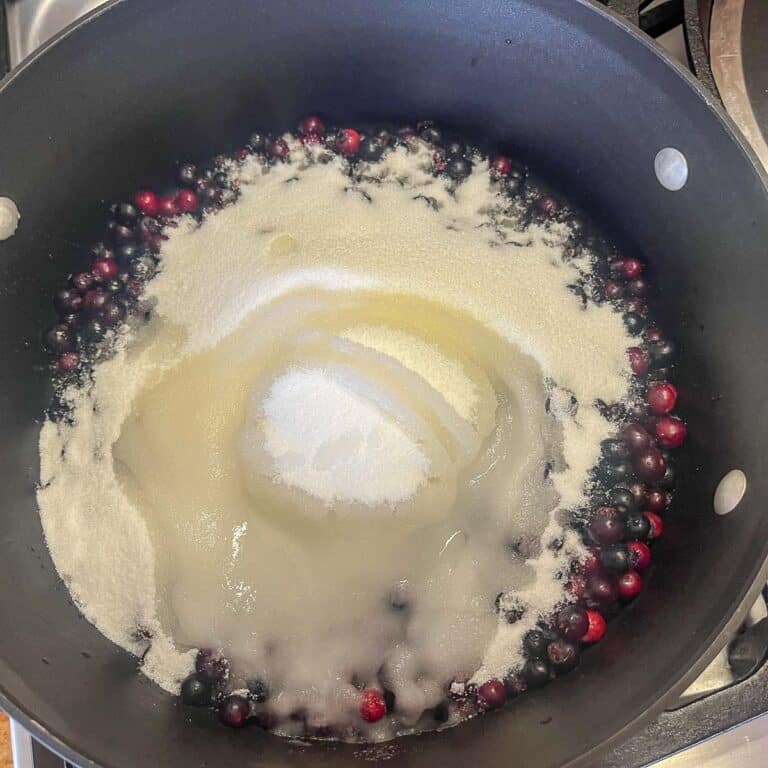 Saskatoon Berry Jam | Hilda's Kitchen Blog