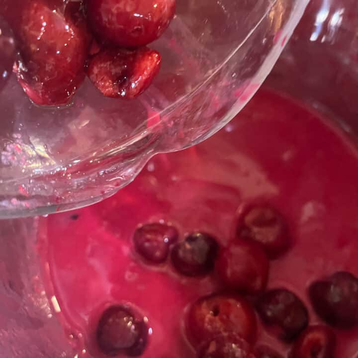 Chokecherry Fruit Roll Ups Recipe | Hilda's Kitchen Blog