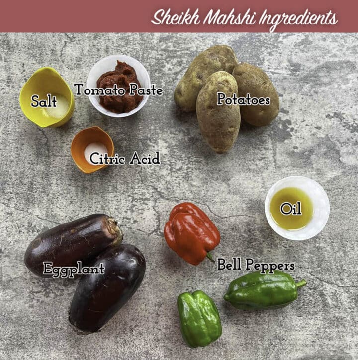 Sheikh Mahshi (Meat-Stuffed Vegetables) | Hilda's Kitchen Blog