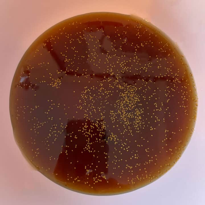 Fig Syrup | Hilda's Kitchen Blog
