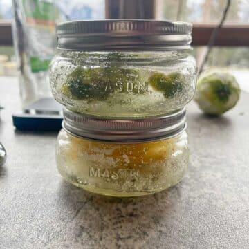 How to Make Super Juice | Hilda's Kitchen Blog