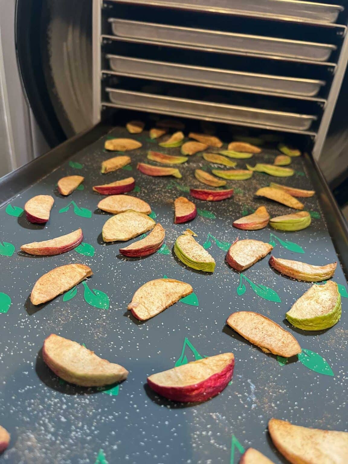 How to Freeze Dry Apples | Hilda's Kitchen Blog