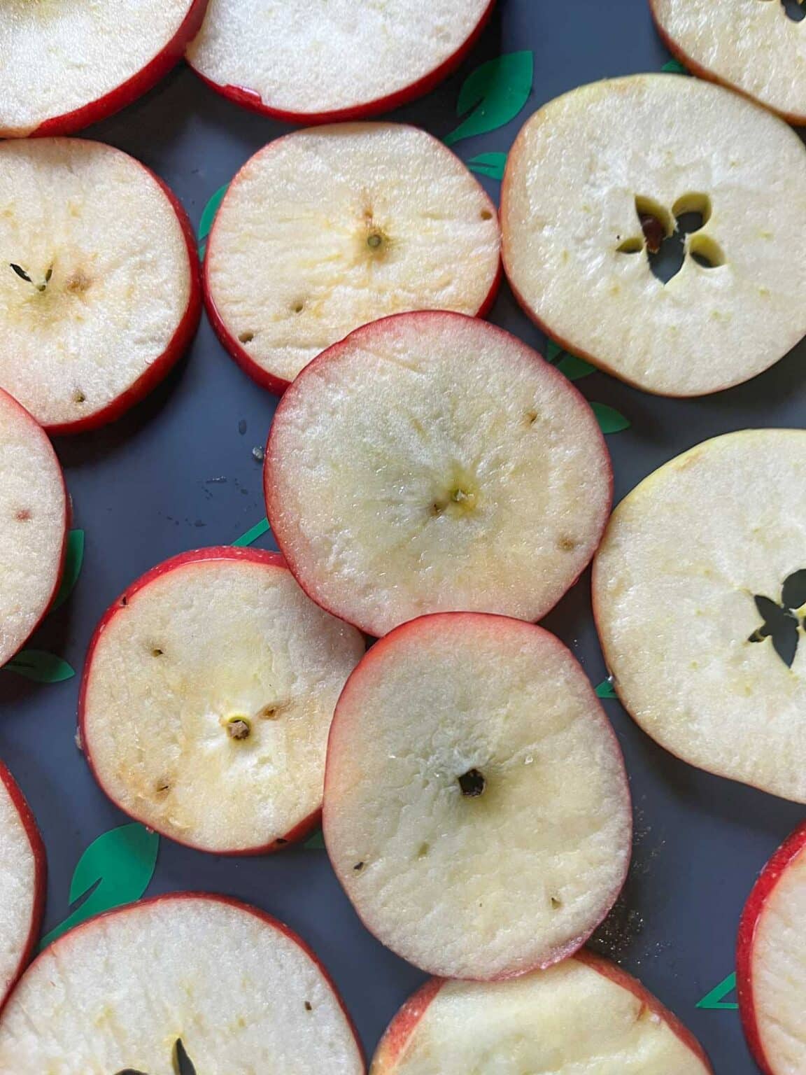 How to Freeze Dry Apples | Hilda's Kitchen Blog