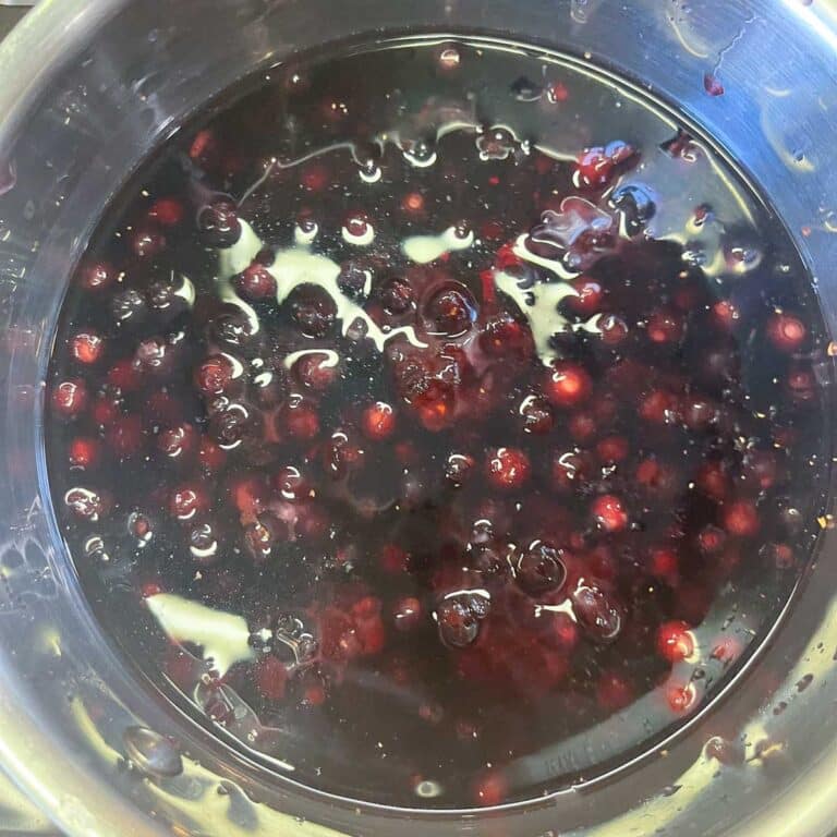 Spicy Huckleberry BBQ Sauce | Hilda's Kitchen Blog