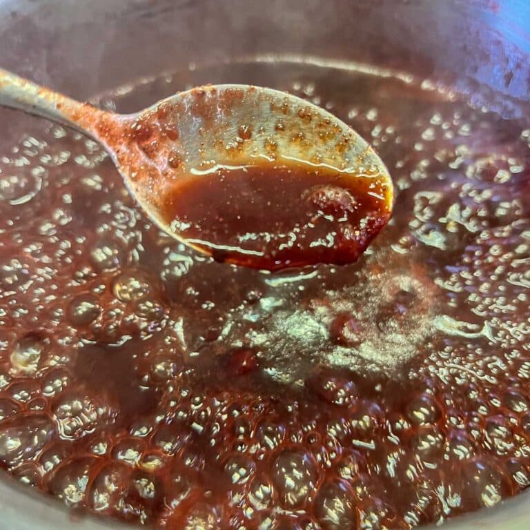 Spicy Huckleberry BBQ Sauce | Hilda's Kitchen Blog