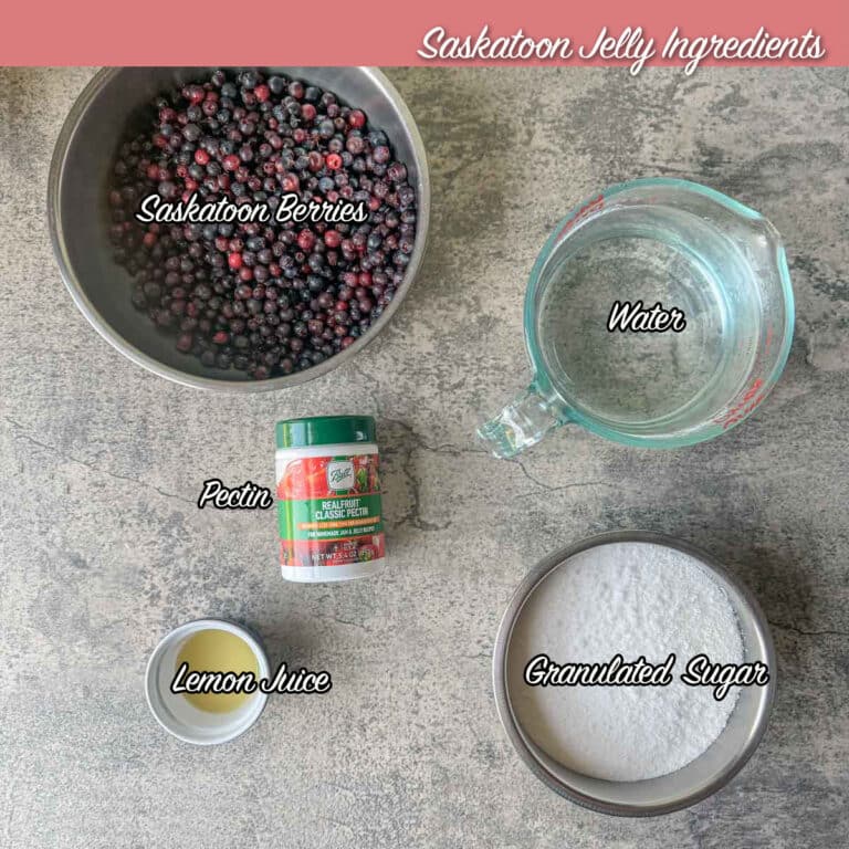 Saskatoon Jelly | Hilda's Kitchen Blog