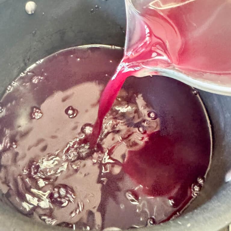 Saskatoon Jelly | Hilda's Kitchen Blog