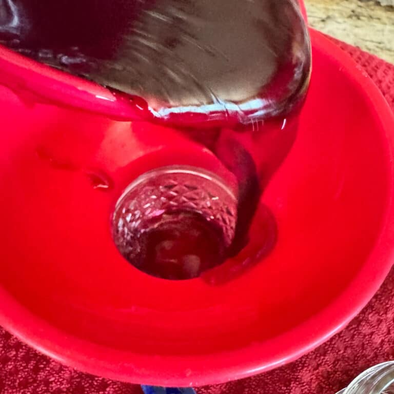 Saskatoon Jelly | Hilda's Kitchen Blog