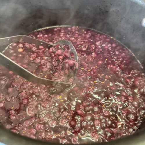 Saskatoon Jelly | Hilda's Kitchen Blog