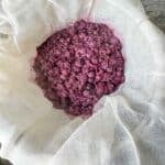 Saskatoon Jelly | Hilda's Kitchen Blog